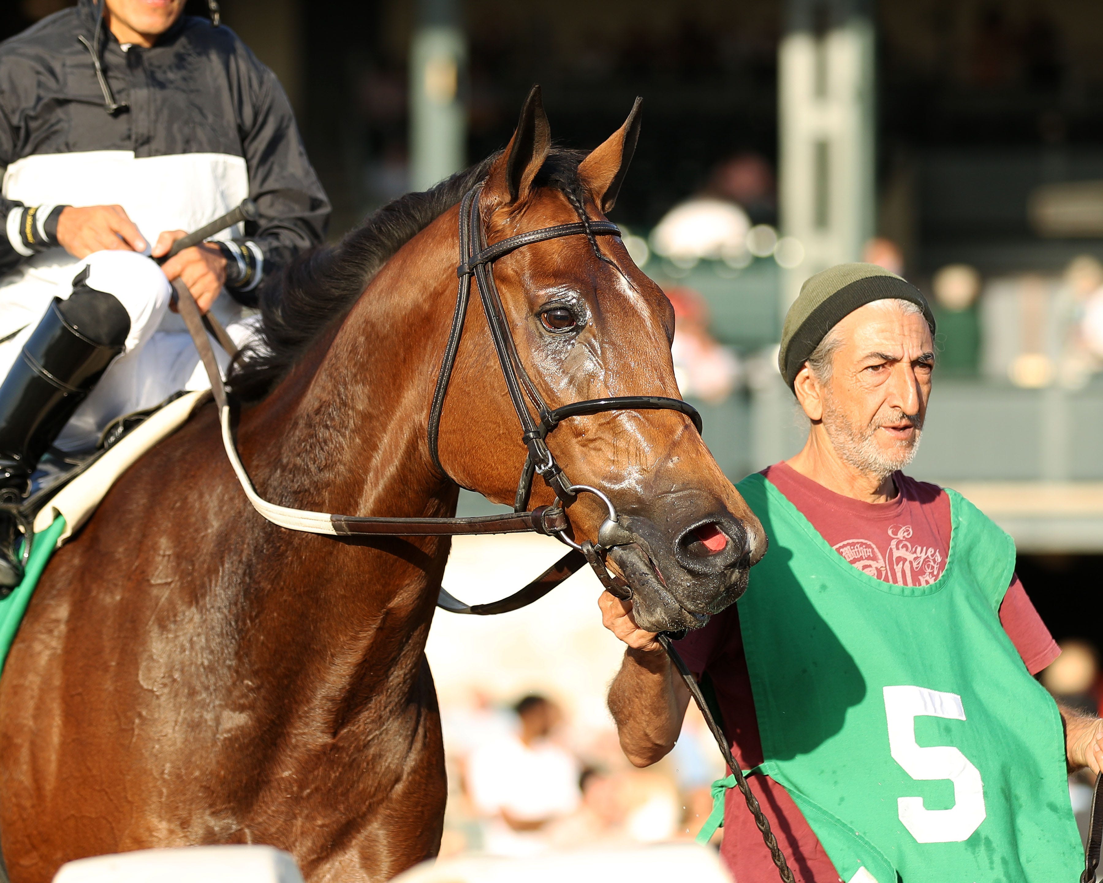 Future Is Now looks to repeat as Intercontinental winner